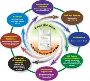 Organic Insect Control |Organic Pest Management | Organic Pest Control ...